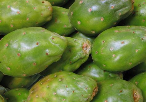 The Prickly Pear Learn The Curiosities Of A Fruit That Crosses Borders