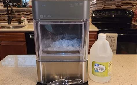 Effective Methods On How To Clean Portable Ice Maker
