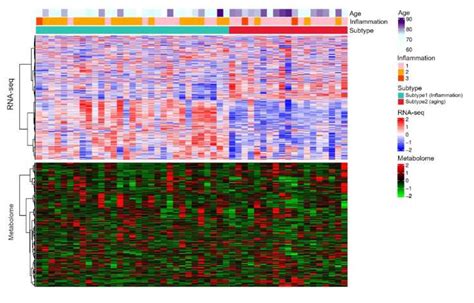 Uncovering The Molecular Drivers Of Liver Cancer