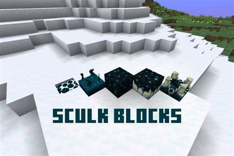 All Types Of Sculk Blocks In Minecraft 1 19 Explained 2022 Beebom