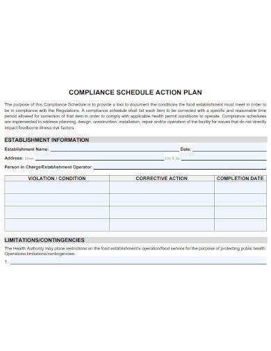 Free 10 Compliance Action Plan Samples Corrective Risk Audit