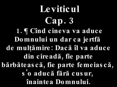 Levit 03 Ppt