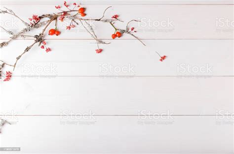 크리스마스 새해 또는 가을 배경 크리스마스 천연 장식품과 전나무 가지 딸기 장미 엉덩이와 겨울 가지의 평면 평신도 구성 0명에