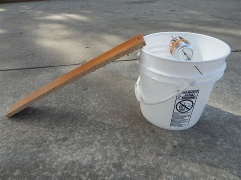 House Mouse Traps Homemade