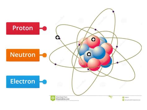 Labeling The Atom Labelled Diagram