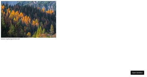Vue Codesandbox