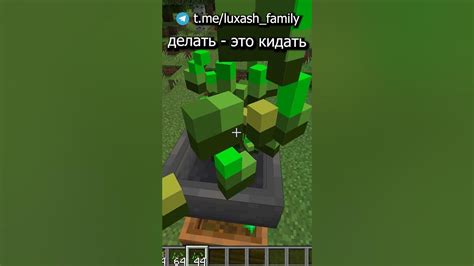 Это лучшая утилизация семян в майнкрафт Youtube