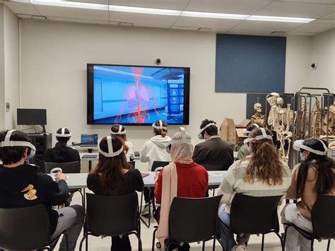 Mcmaster Launches Digital Learning Strategic Framework Academic Excellence Office Of The Provost