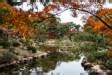 A Visitors Guide To Shukkeien Garden Hiroshimas Classic Japanese Garden Nerd Nomads