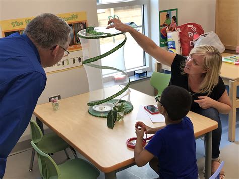 Create A Dynamic Active Learning Environment