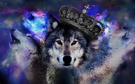 Cool Wolf Backgrounds 58 Images