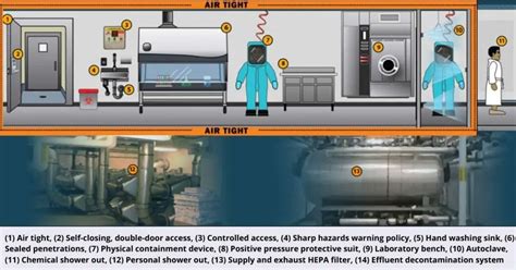 Biosafety Levels Bsl 1 Bsl 2 Bsl 3 And Bsl 4 Primary And