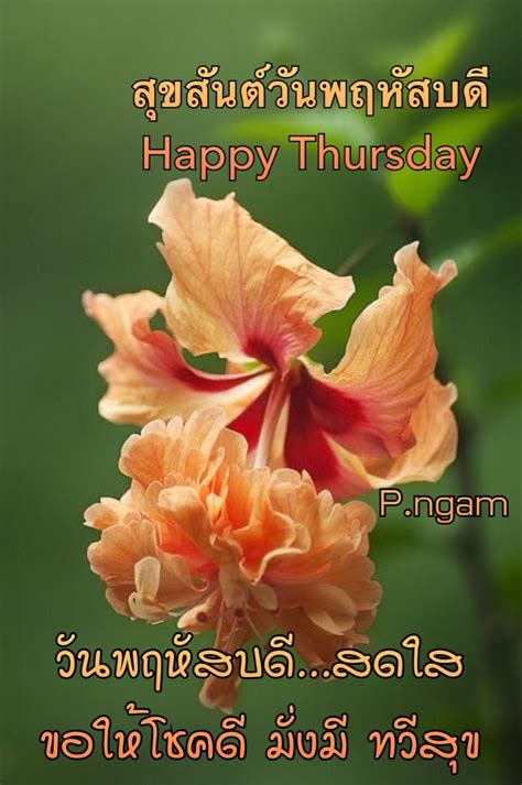 วันพฤหัสบดี วันพฤหัสบดี สวัสดีตอนเช้า อรุณสวัสดิ์