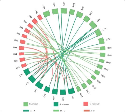 Collinearity Analysis Of Mapk Genes In Cotton Dark Green G Arboreum Download Scientific