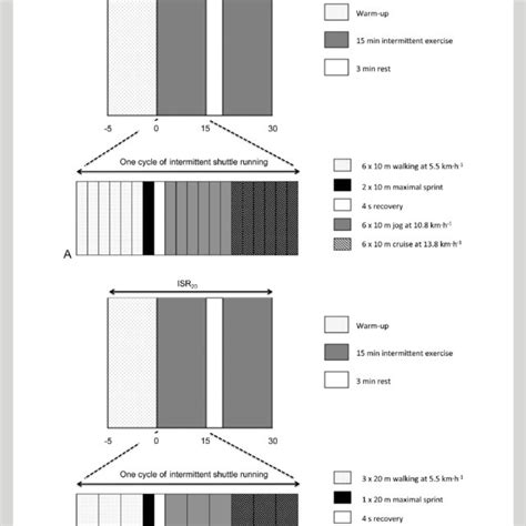 A And B Schematic Representation To Show Isr 10 And Isr 20 Protocols