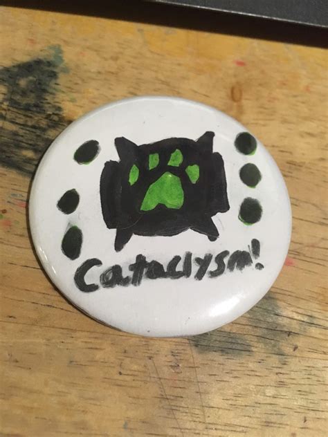 Miraculous Ladybug Pins Miraculous Amino