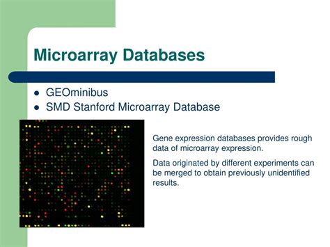 Ppt Biological Databases Powerpoint Presentation Free Download Id