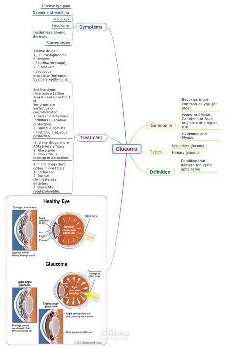 عمل Cocept Map مستقل