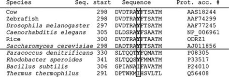 Sequence Alignment Of Cytochrome C Oxidase Subunit I Cox I Sequences