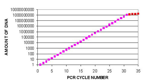 Real Time Pcr Tutorial