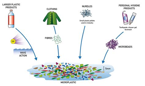 Highlight Emerging Contaminants Microplastics State Of The River