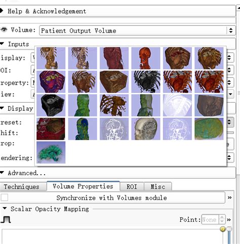 求助：如何用体绘制（volume Rendering）模块进行脑表面三维重建？ 问题求助 3dslicer中文论坛