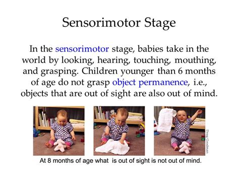 Sensorimotor Stage