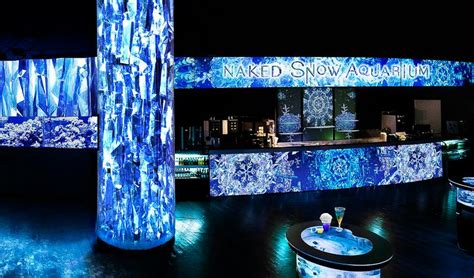 キラキラ輝くスノードームの中へご招待マクセル アクアパーク品川のNAKED SNOW AQUARIUMで幻想的な世界へ旅に出よう東京