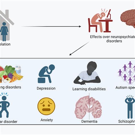 Main Disorders Affected By Social Isolation Social Isolation Stress