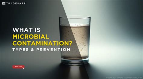 What Is Microbial Contamination Tradesafe