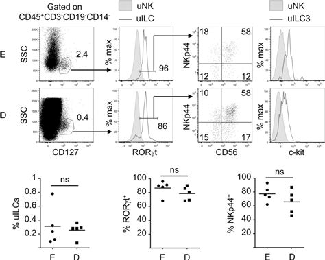 Figure 1 From Uterine Innate Lymphoid Cells Composition Development