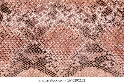 Snake Pattern Piton Skin Stock Illustration