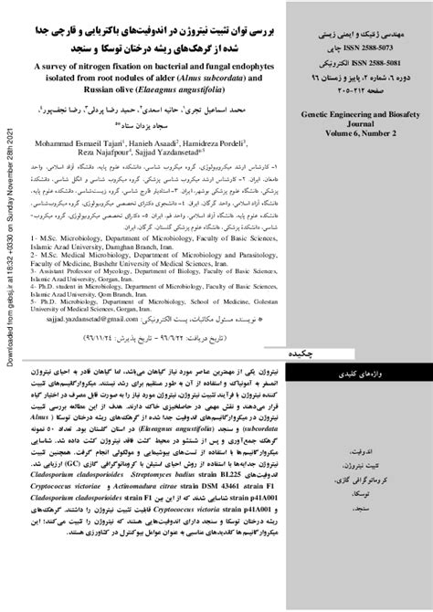 Pdf A Survey Of Nitrogen Fixation On Bacterial And Fungal Endophytes Isolated From Root