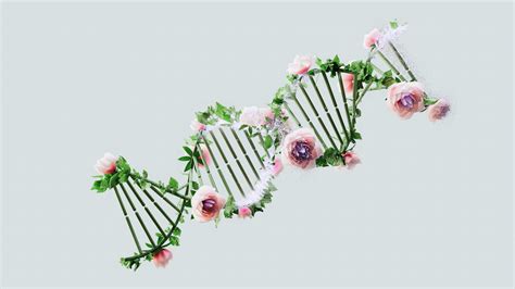 Functional Genomics Unlocking The Roles Of Genes Through Data Analysis
