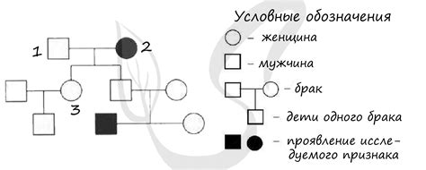 По изображённой на рисунке родословной установите характер проявления признака доминантный