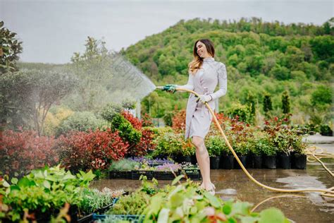 年轻美丽的女园丁用软管浇灌植物图片 包图网企业站