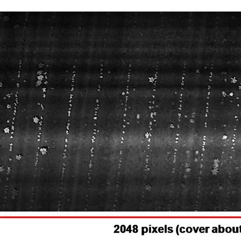 One Raw Image Includes 103 Spectral Bands In The Range Of 600970 Nm