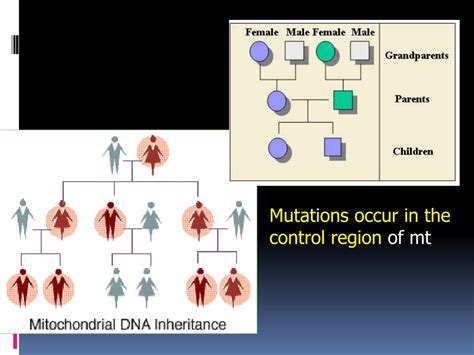 Ppt Nucleic Acid Extraction Methods And Specimen Handling Powerpoint