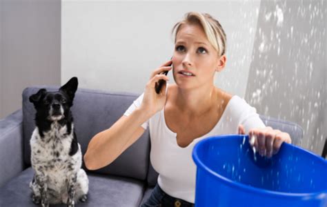 Preventing And Detecting Leaks