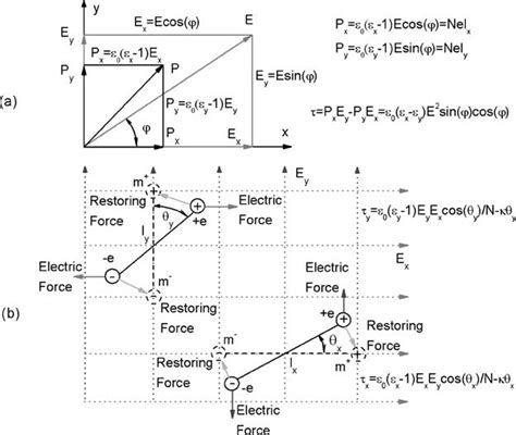 A Polarizations P X And P Y Induced By The Electric Field Components E Download Scientific