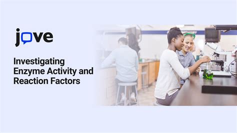 Understanding Harmonic Motion Pendulum Spring Experiments