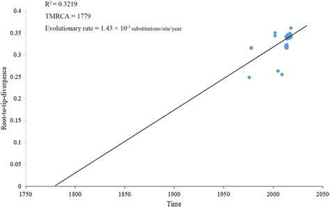 Maximum Likelihood Phylogenetic Tree Constructed Based On Gii17 Vp1