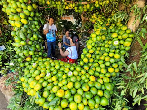 Pia Reaping The Fruits Of Citrus Farming