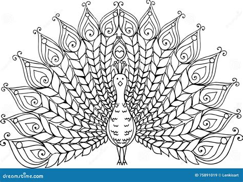 Peacock Pattern Outline