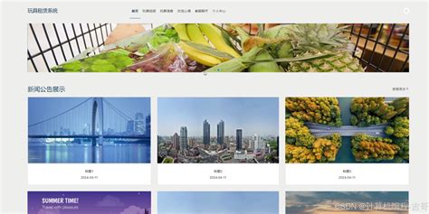 计算机毕业设计 玩具租赁系统 java springboot vue 前后端分离 文档报告 代码讲解 安装调试 csdn博客