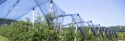 3 Types Of Hail Netting All You Need To Know Eyouagro 3 Types Of Hail Netting All You Need To Know Eyouagro
