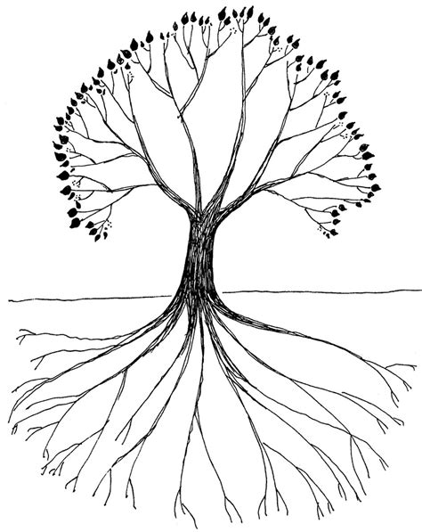 Tree And Roots Drawing At Getdrawings Free Download