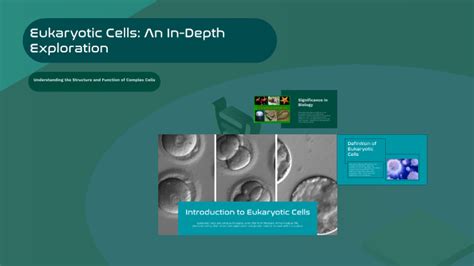 Eukaryotic Cells An In Depth Exploration By Sofhia Gutierrez On Prezi