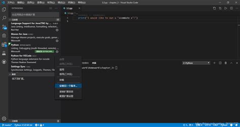 已解决 Vs Code 在终端中运行python文件 无反应vs运行不了python Csdn博客