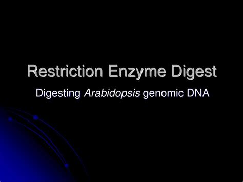 PPT Restriction Enzyme Digest PowerPoint Presentation Free Download ID 6782993
